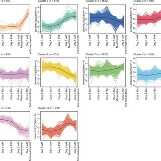 Kmeans Clustering Shows Differential Gene Kinetics During The Download Scientific Diagram