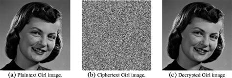 encryption and decryption result girl image download scientific diagram
