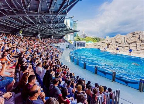 Rune Ge ბილეთები