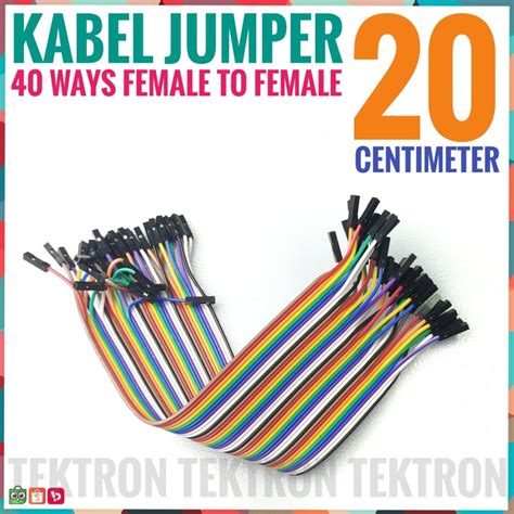 Jual Kabel Jumper FEMALE To FEMALE 40 Ways 20cm Cable Arduino 40P 40pcs Shopee Indonesia