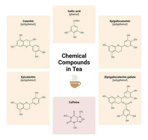 Chemical Compounds In Tea Biorender Science Templates