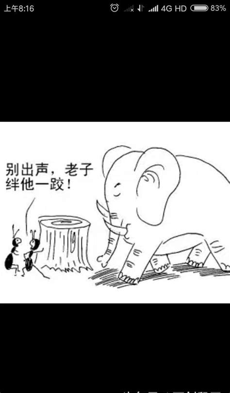 蚂蚁和大象的故事