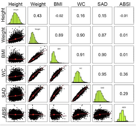 Correlation Of Anthropometric Measures Between Body Size And Shape Data Download Scientific