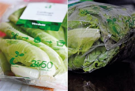 Los Empaques Compostables Para Alimentos Se Abren Paso En El Mercado