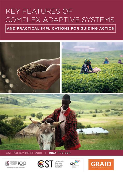 Key Features Of Complex Adaptive Systems And Practical Implications For