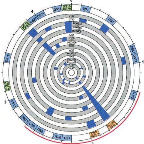 List Of Genes With Function Annotated Download Table