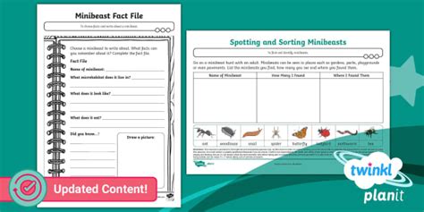 Science Biodiversity Minibeasts Home Learning Tasks Year