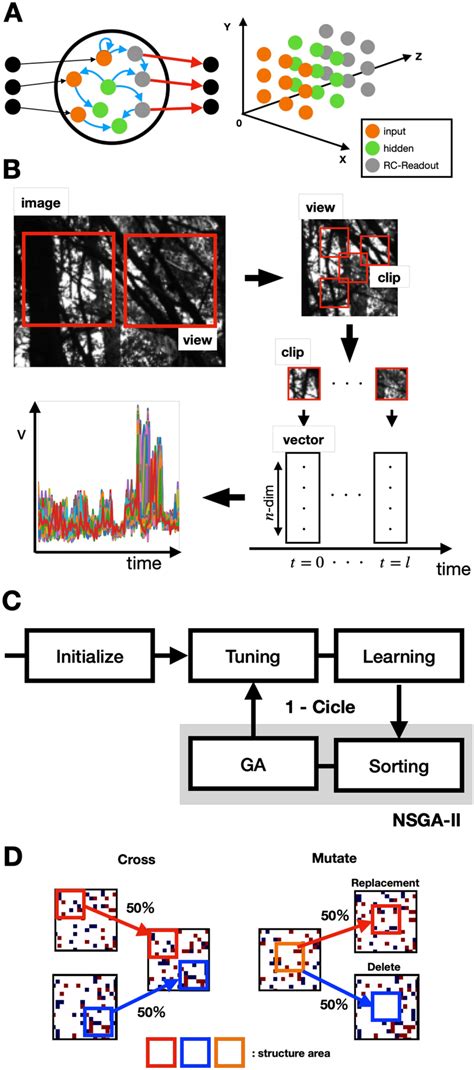 Experimental Framework Overview A Circuit Model And Spatial Download Scientific Diagram