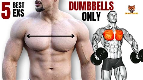 Free Weight Chest Workout Inner Chest Workout Hand Weight Workouts Chest Workout For Men