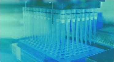 IVT RNA Production Services