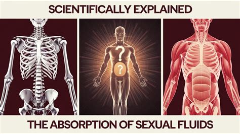 Semen Retention How Our S X Fluids Make Us Superhuman YouTube