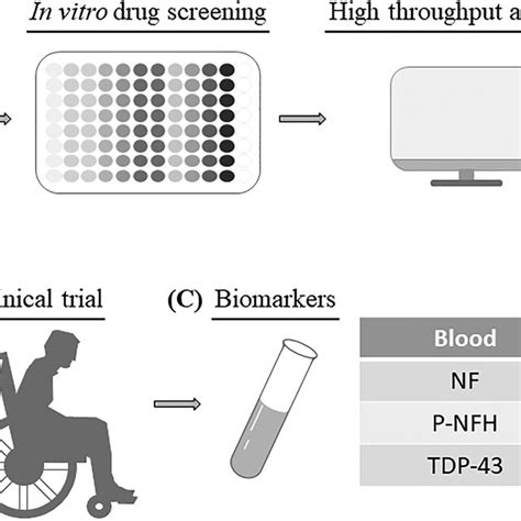 combination of human ipsc approach high throughput drug screening and