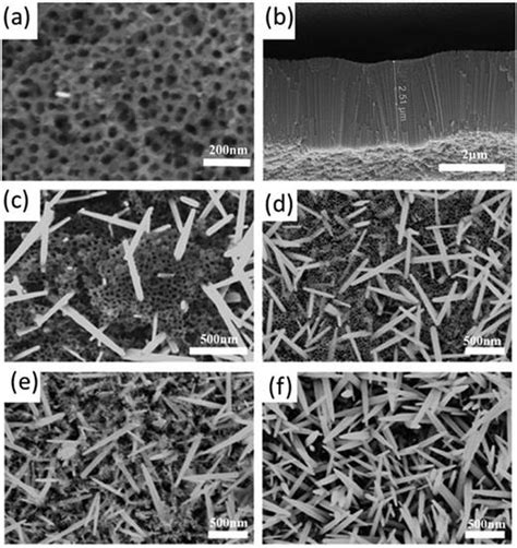 Photoelectrochemical Characteristics Of Zno Tio2 Nanoheterojunctions Aip Advances Aip