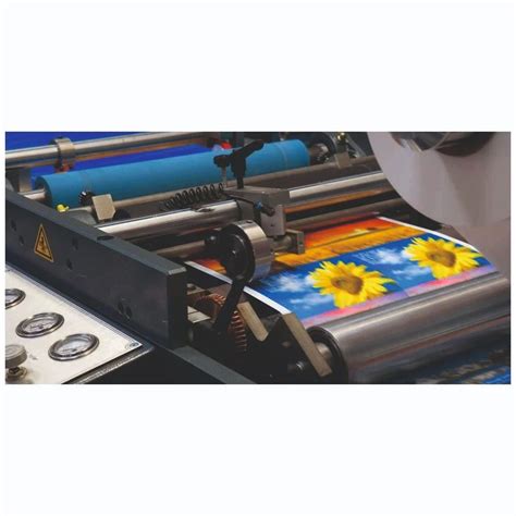 Multicolour Offset Printing At ₹ 10 Page In Indore Id 2850821163291