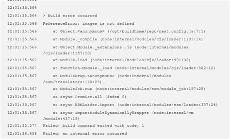 Facing This Issue While Deploying Static Nextjs Site Rnextjs