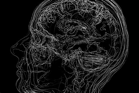 Examining Person Perception From A Neural Perspective NYU Abu Dhabi