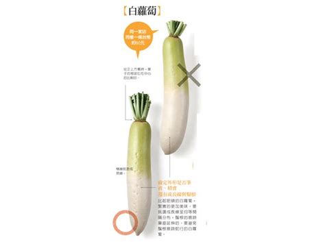 彩椒、白蘿蔔這樣挑保新鮮！確認外形是首要條件 蕃新聞