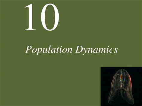 Ppt Population Dynamics Powerpoint Presentation Free Download Id