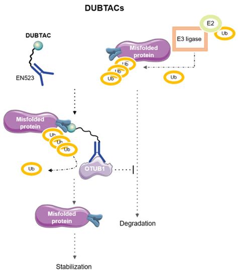 Pharmaceutics Special Issue New Trends In Therapy From Natural