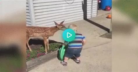 error unexpected obstacle in path on imgur