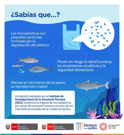 Recomendaciones Para Evitar El Uso De Plásticos De Un Solo Uso El