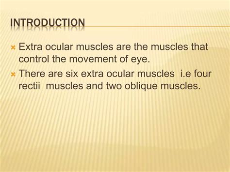Extra Ocular Muscles Anatomy Ppt