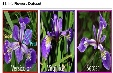 21 Databricks Spark Ml Naive Bayes 800 Java And Big Data Interview Qandas