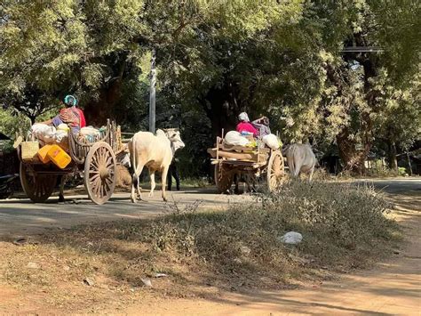 ဆားလင်းကြီးမှာ စစ်ကြောင်းထိုးနေလို့ ရွာ ၄ ရွာက ဒေသခံတွေစစ်ရှောင်နေရ