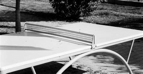 집 밖의 게임 경쟁력 있는 경치 공원 공원 경로 공원 생활 그림자 금속 그물 나무 낮 놀이터 덤불 도시 공원 도시 녹지 공간 도시 레크리에이션