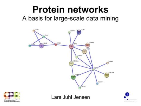 Protein Networks A Basis For Large Scale Data Mining Ppt