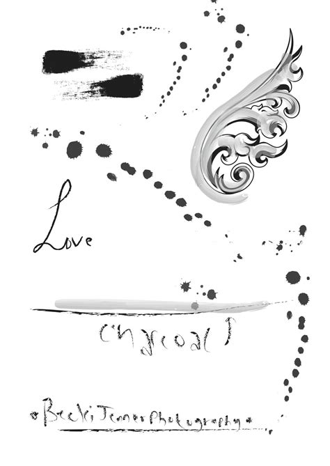 Vector Interface Design Becki Jenner Photography