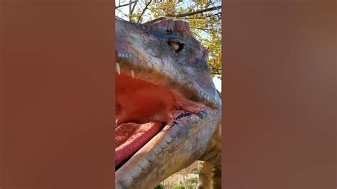 스피노사우루스 Shorts 공룡 공룡화석 Youtube 스피노사우루스 Shorts 공룡 공룡화석 Youtube