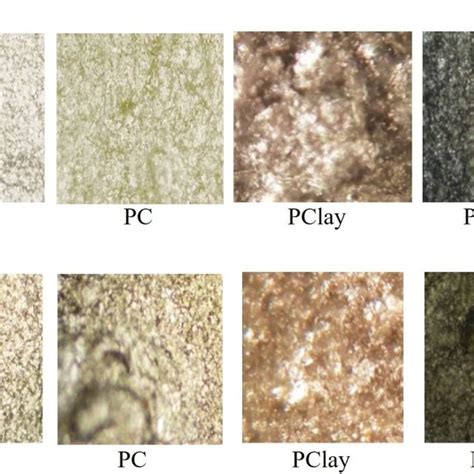 Classification Of The Adhesion Base On ASTM D3359 Download Scientific Diagram