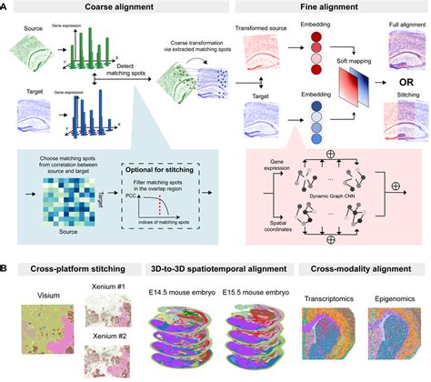 Santo A Coarse To Fine Alignment And Stitching Method For Spatial Omics Research Communities