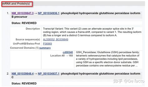 基因过表达构建攻略一 知乎