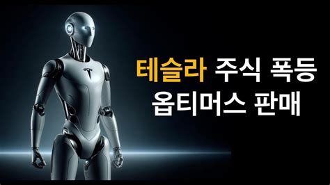 테슬라 어닝콜 Qanda 로봇 자율 주행 택시 인공지능 포트폴리오 다각화 Fsd 트랜스퍼 안됨 그러나 새로운 모델3 퍼포먼스의 미친 가성비 포드 전기차 심각한 적자