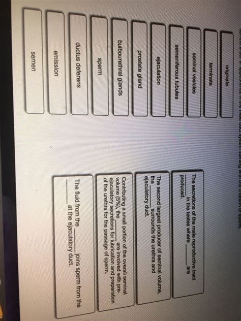 Solved Complete Each Of The Following Statements By Dragging