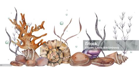 조개 조류 산호를 사용한 수중 수채화 구성 해양 테마입니다 엽서 포스터 전단지 로고 여행사 해변 액세서리 여행 목록 문구 직물을 위한 요소 디자인 가리비에 대한 스톡 벡터