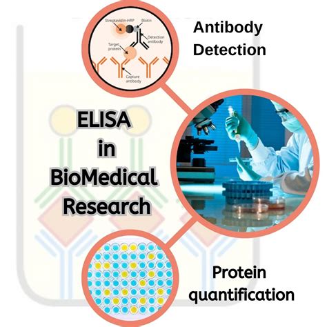 Applications Of Elisa Mybiosource Learning Center