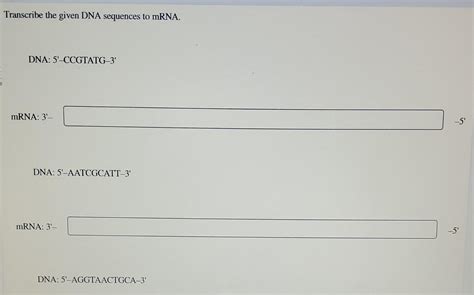 Solved Transcribe The Given Dna Sequences To Mrna Dna