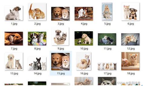 Yolov4：目标检测模型在pytorch中的应用yolo手搓pytorch Csdn博客
