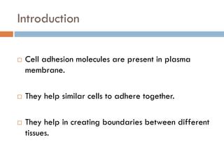Cell Adhesion Molecules PDF