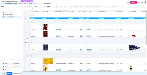 10 Digital Asset Management Templates To Streamline Your Creative Workflow