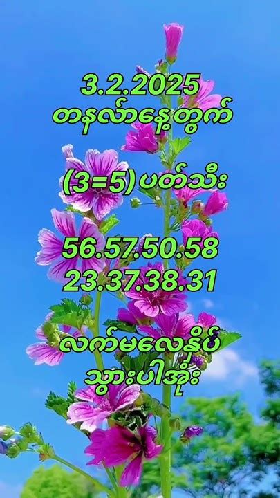 3 2 2025 တနလ်ာနေ့အတွက် 2dlive Popular Shorts 2d3d Automobile 2dlive 2d3dmyanmar Youtube