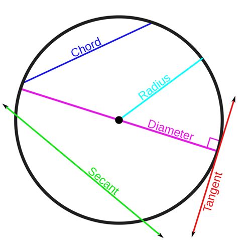 circles vocabulary diagram quizlet