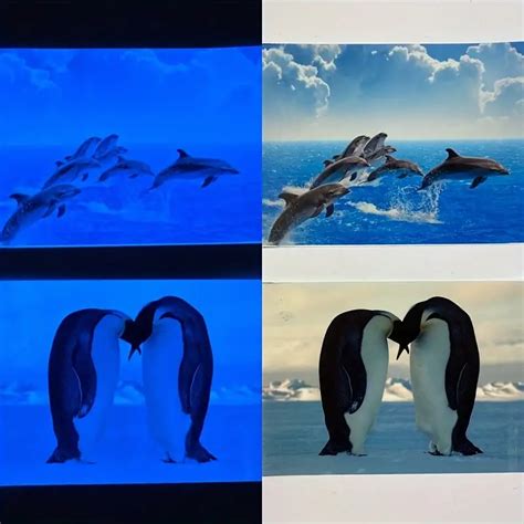 510pcs 진한 파란색 빛나는 인화지 뒷면 접착제 빛나는 종이 자체 접착 발광 필름 빛나는 A4 인화지 Temu Republic Of Korea