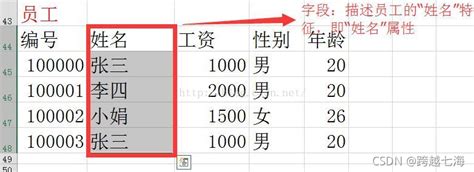 聊聊「数据库」中的关键字—字段、属性、列、元组、记录、表、主键、外键 csdn博客