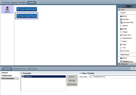 Customizing Coach Views For IBM Business Process Manager BPM With
