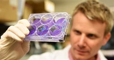 A New Cocktail Of Immunotherapy Drugs Has Been Found To Kill Cancer