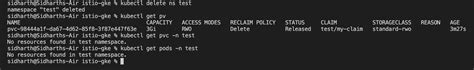 Kubernetes Why Do Pvcs Persist When Using Kubectl Delete Ns While